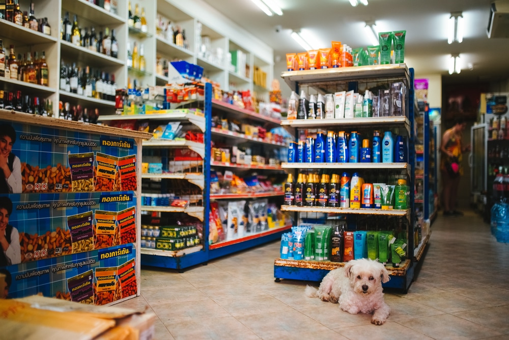 Plano de negócios para pet shop: saiba como desenvolver o seu